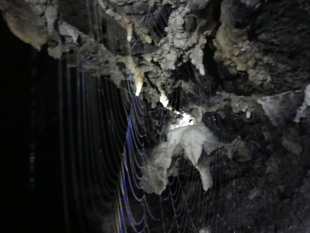 Talking Stone Taciturn Cave - An Excavation of Darkness - Ilkley Manor ...